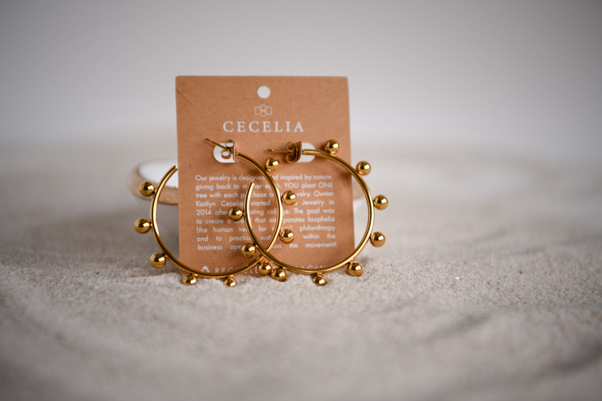 Sunrise Waterproof Stainless Steel Hoop Earrings – Cecelia Designs Jewelry